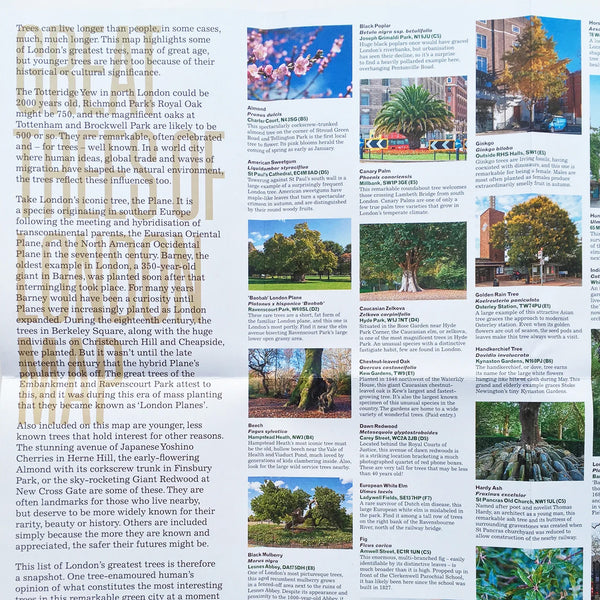 Great Trees of London Map by Blue Crow Media — haus®
