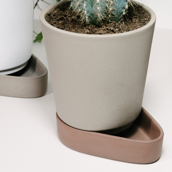 Sip Plant Pot by Case — haus®