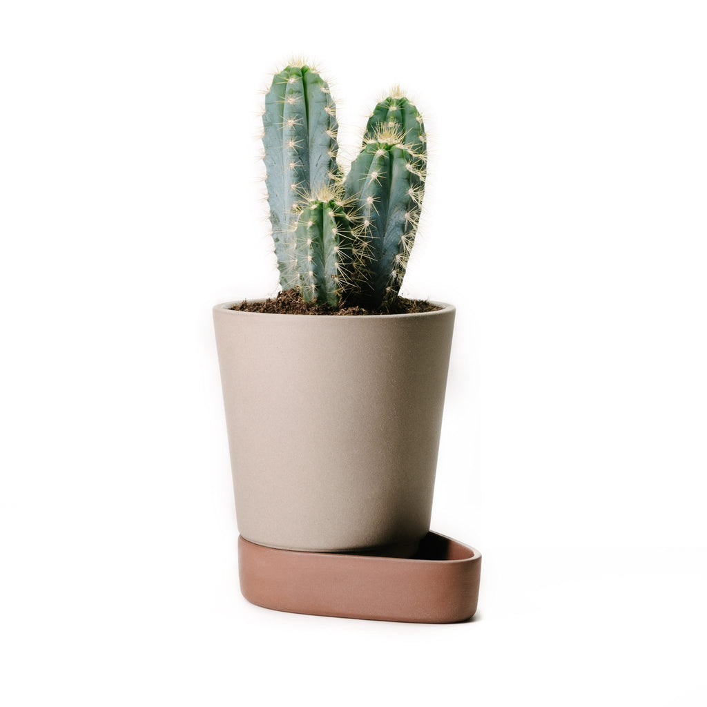 Kitchen and Tableware - haus®